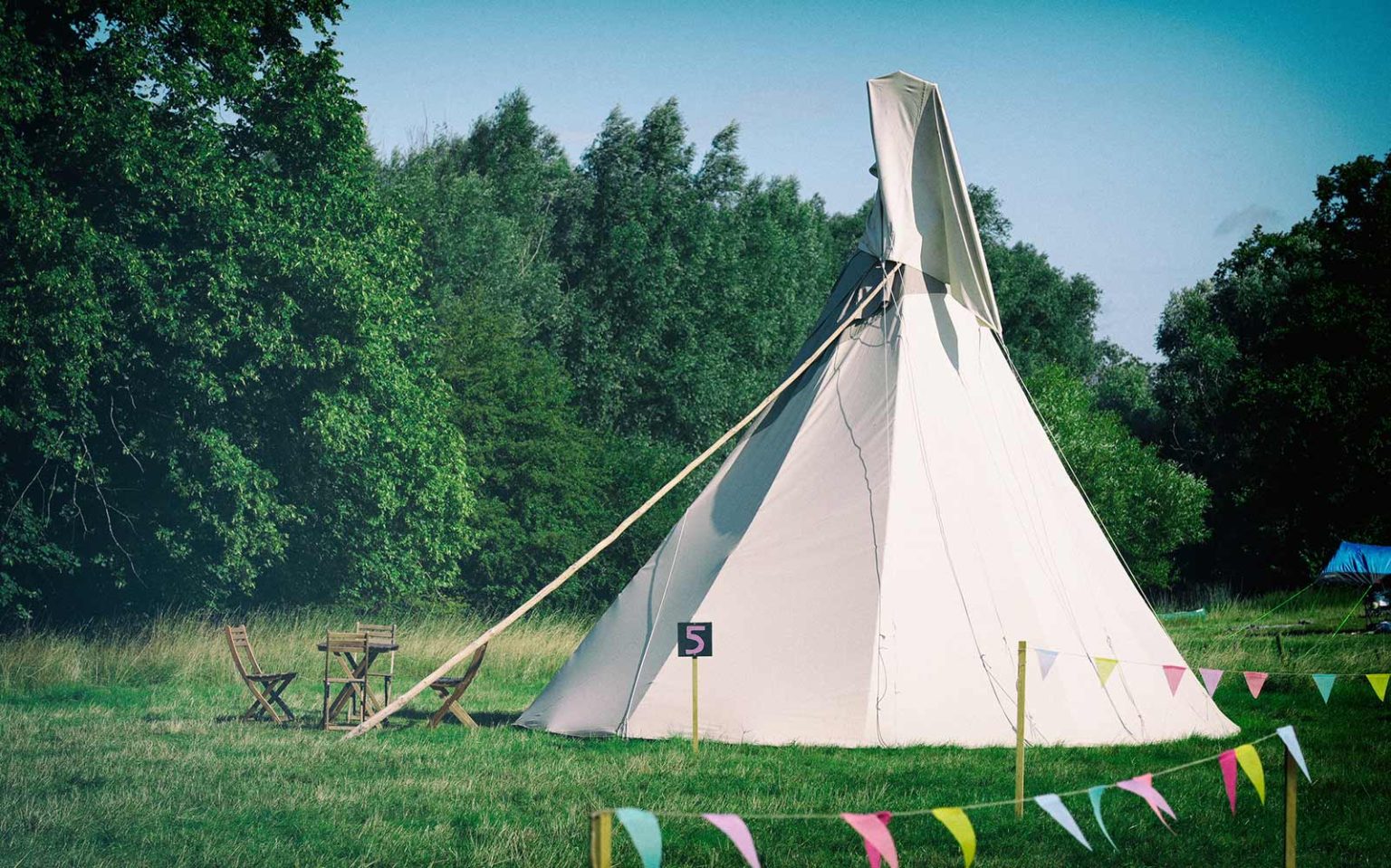 Wild Canvas | Camping