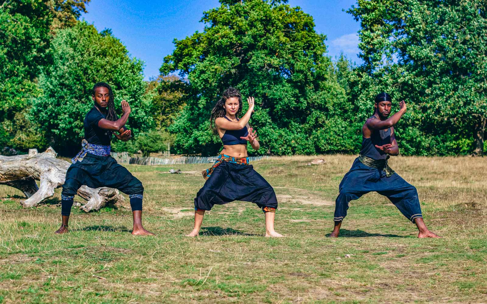 Wild Canvas Camping | WeDntPlay