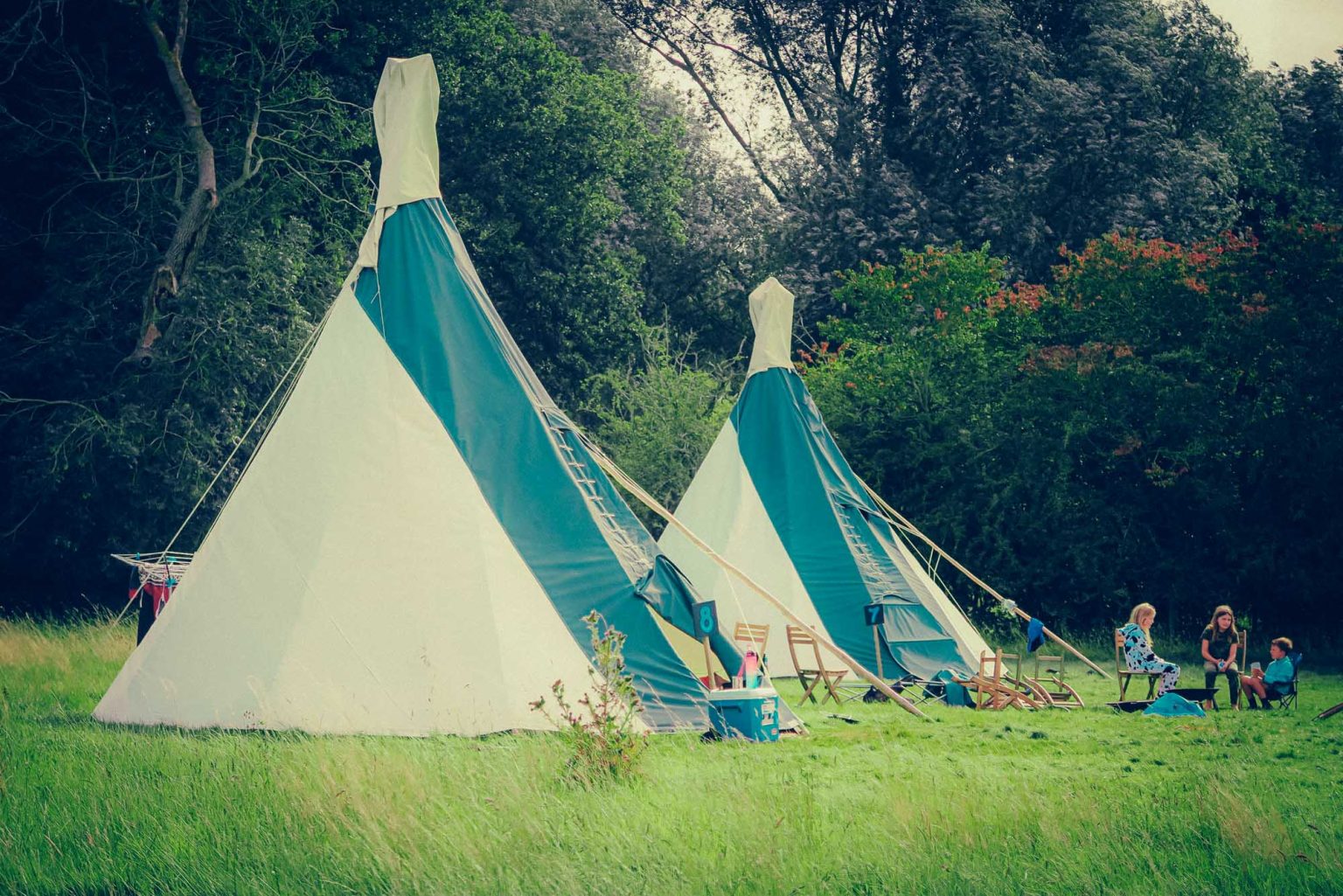 Wild Canvas | Camping