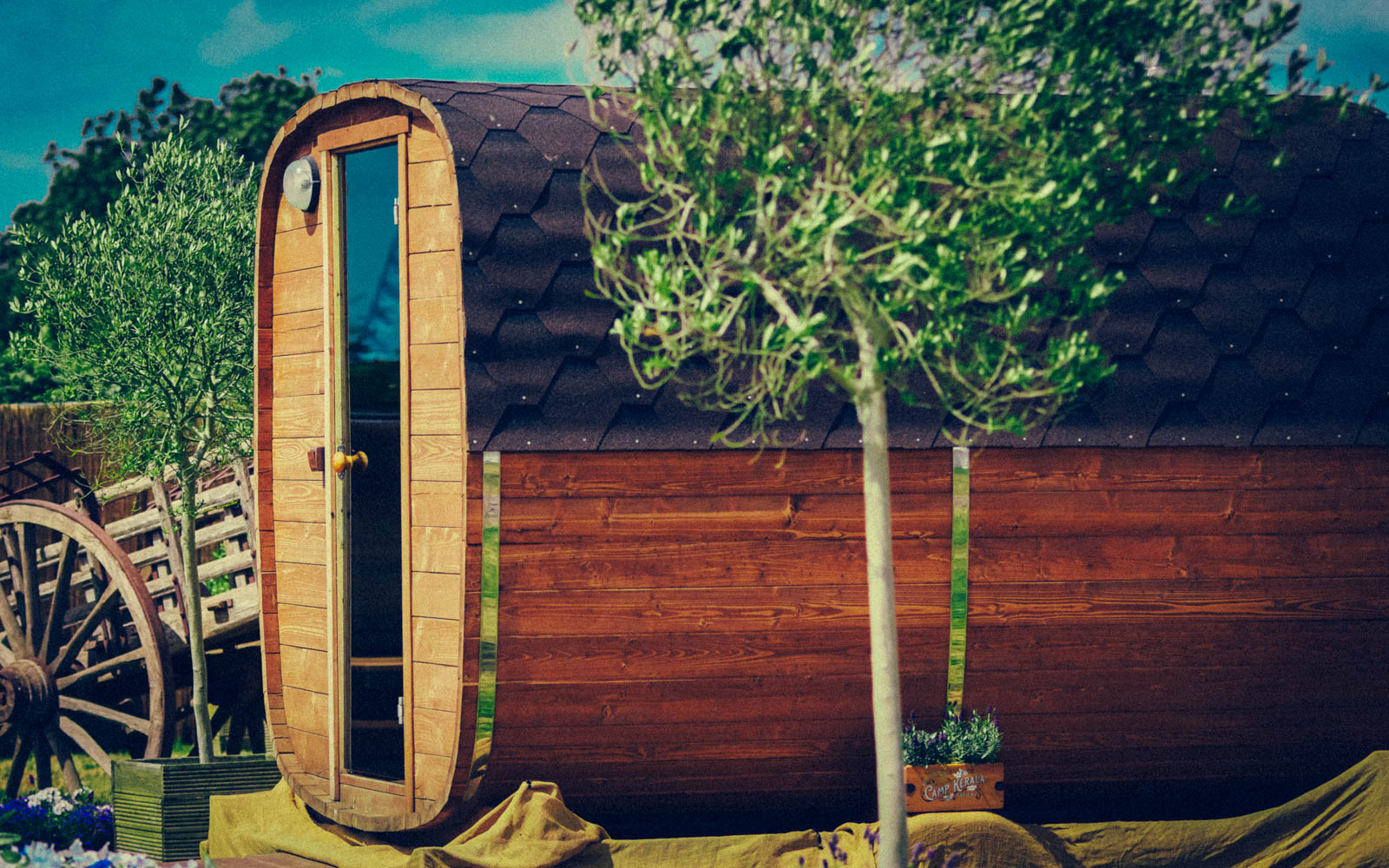 Wild Canvas Camping | Wellness